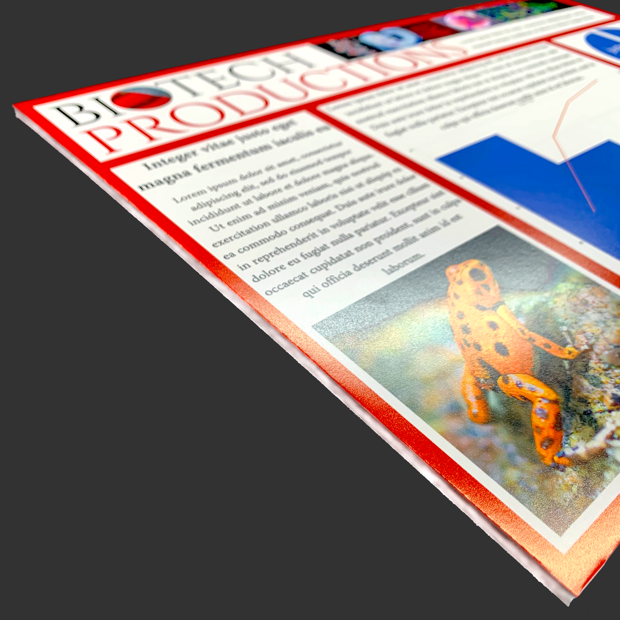 Foamcore-Mounted Poster – Biotech Productions